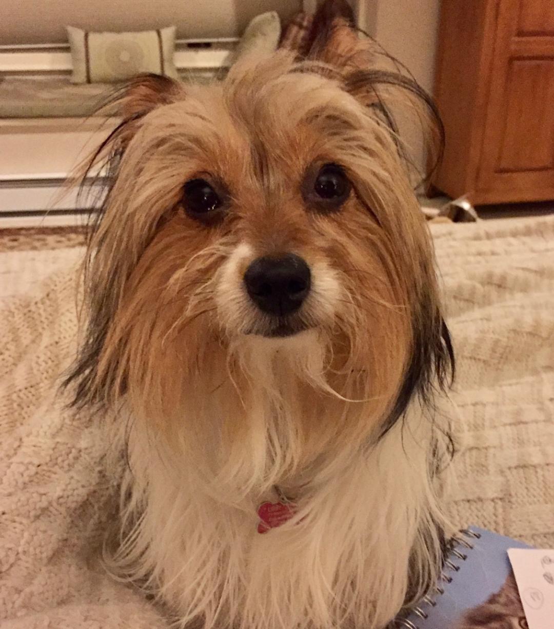 The 6 Faces of Libby - Musings, Rants & Scribbles